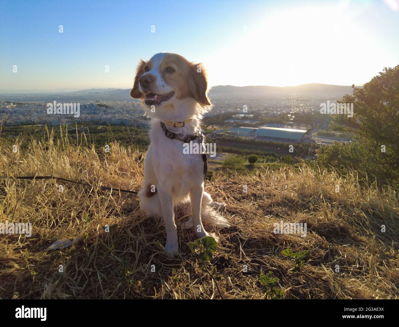 Kokoni High Resolution Stock Photography and Images - Alamy