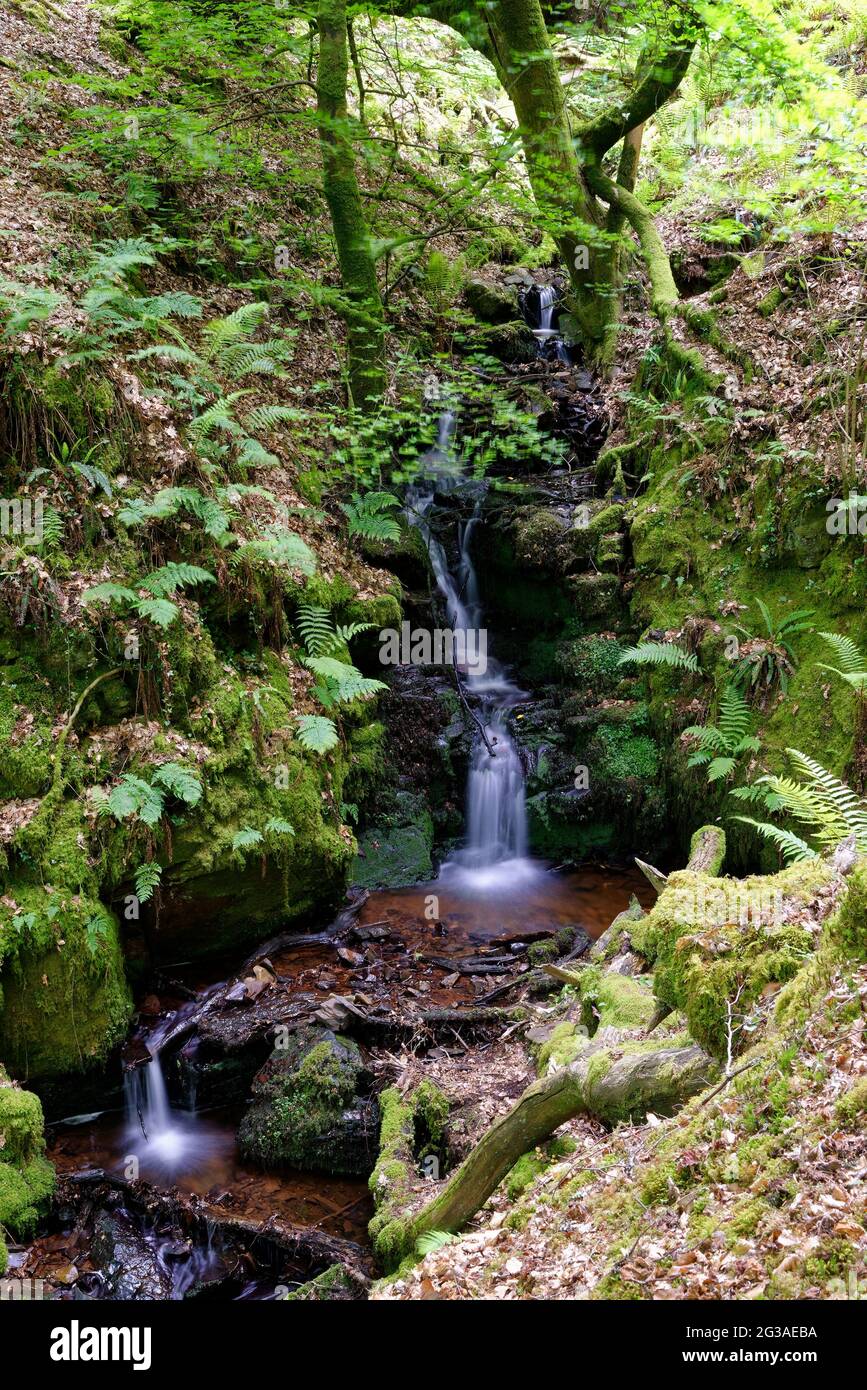 Luccombe hi-res stock photography and images - Alamy