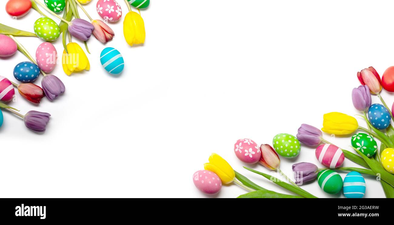 Easter tulips and eggs isolated on white background, border frame ...