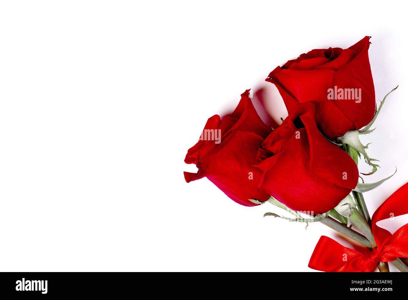 Three beautiful red roses tied with ribbon bow isolated on white ...