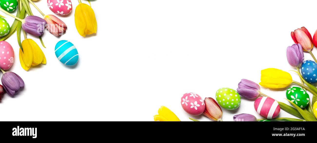 Easter tulips and eggs isolated on white background, border frame ...