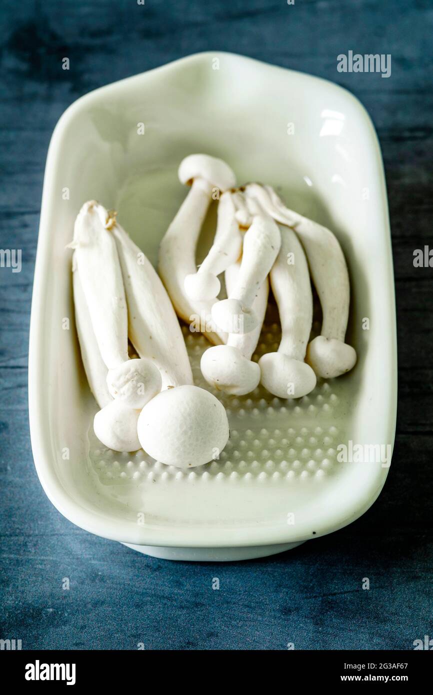 White Asian Enoki mushroom, raw vegan food, fungus, close-up Stock ...