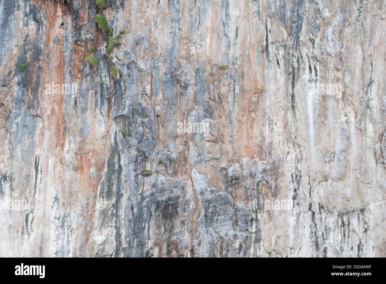 Surface background of limestone rock, Thailand Stock Photo - Alamy