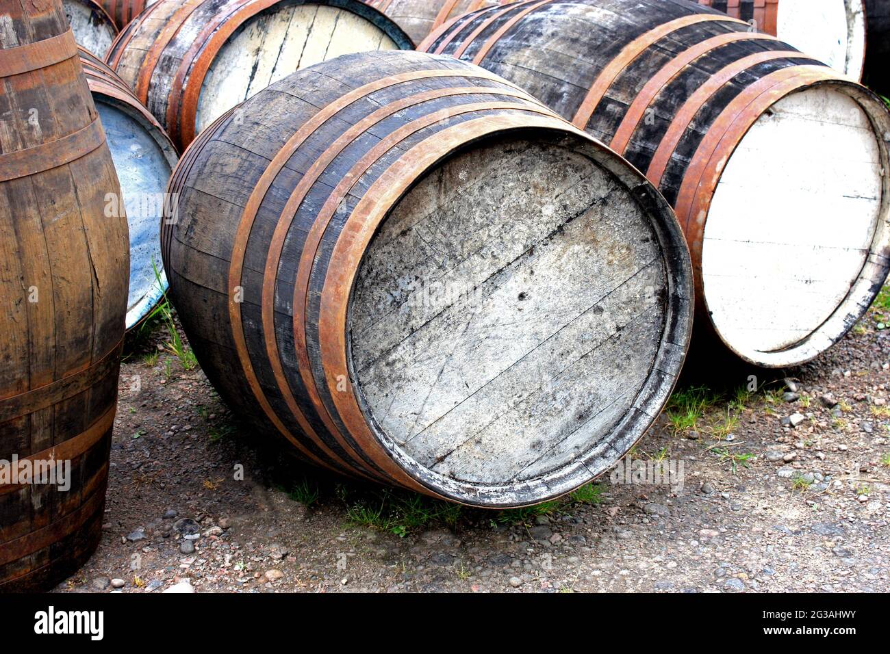 Storing Empty Oak Barrels for Future Whisky Maturing Stock Photo - Alamy