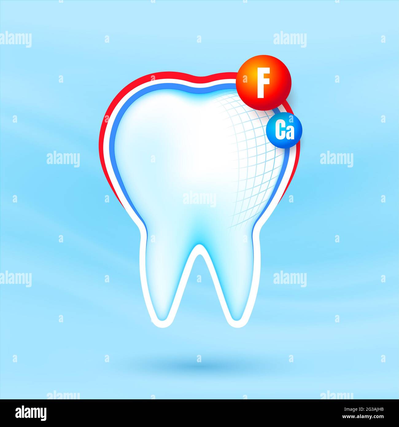 Healthy strong tooth with calcium and fluor sheild. White teeth being ...