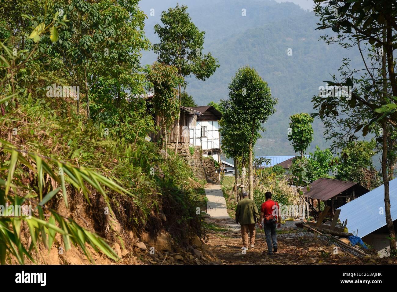 A typical village home and road in the Himalaya, in Todey ,Kalimpong ...