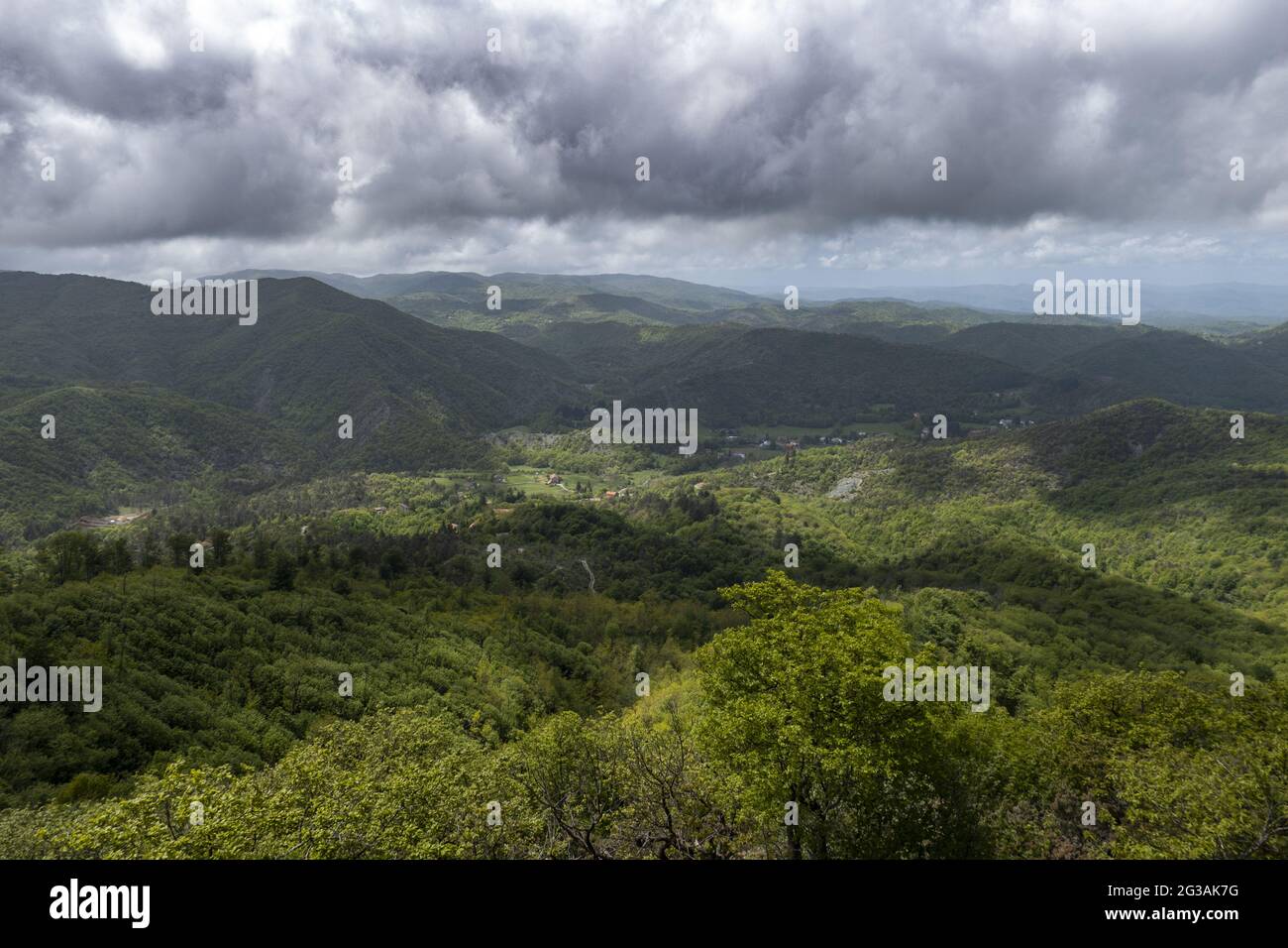 Beautiful trees on a hilly terrain in Forte Lodrino Superiore, Italy ...