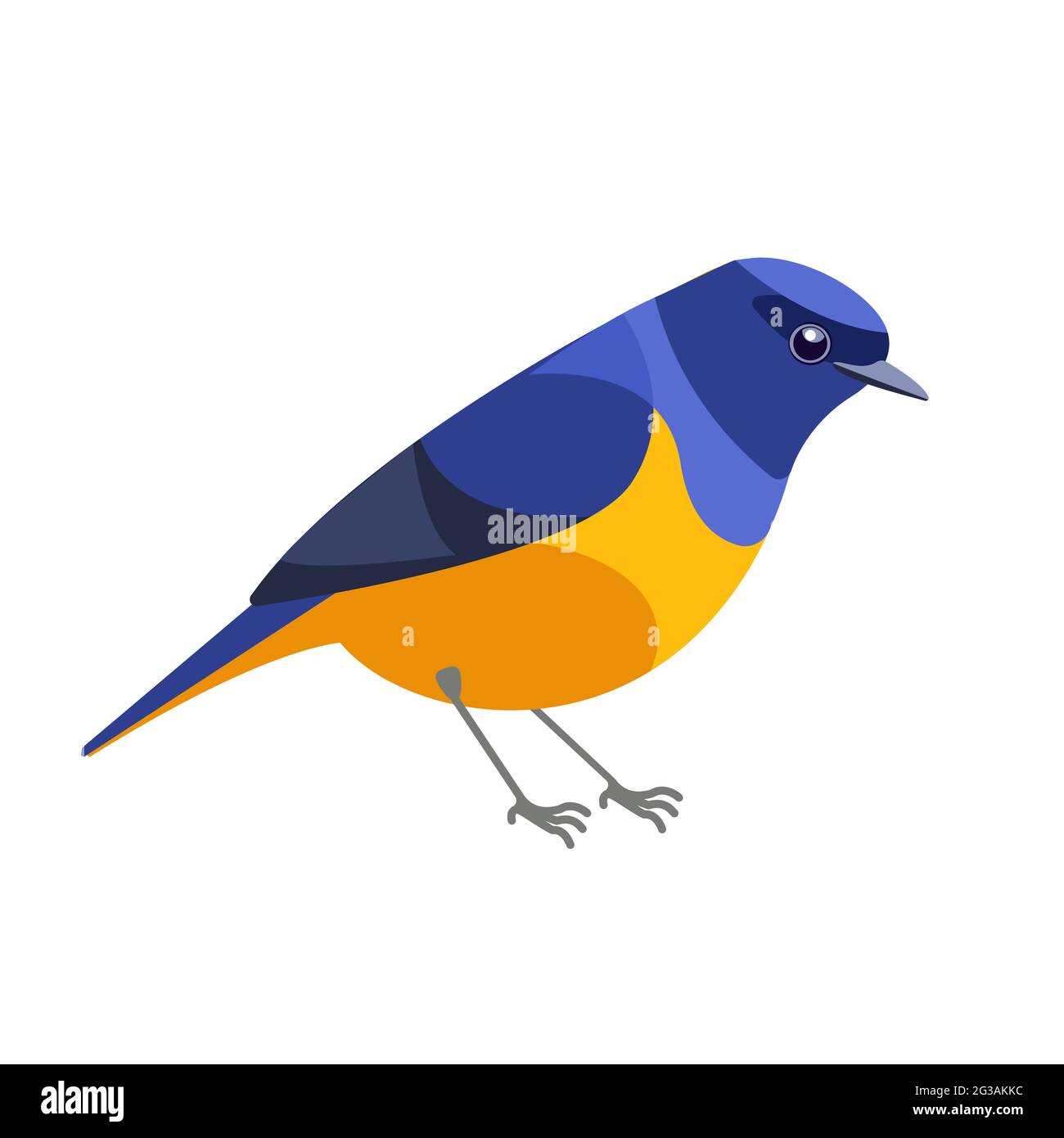 Male birder Stock Vector Images - Alamy