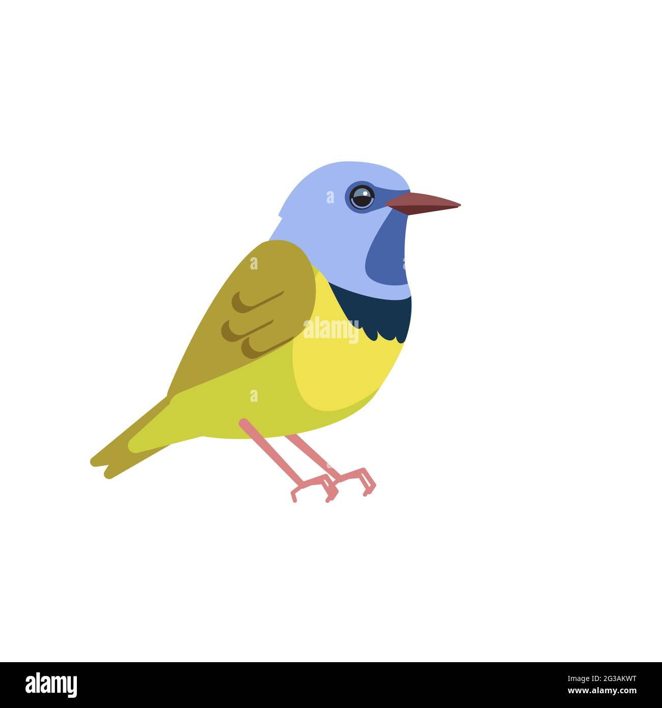 Warbler bird warblers birds Stock Vector Images - Alamy