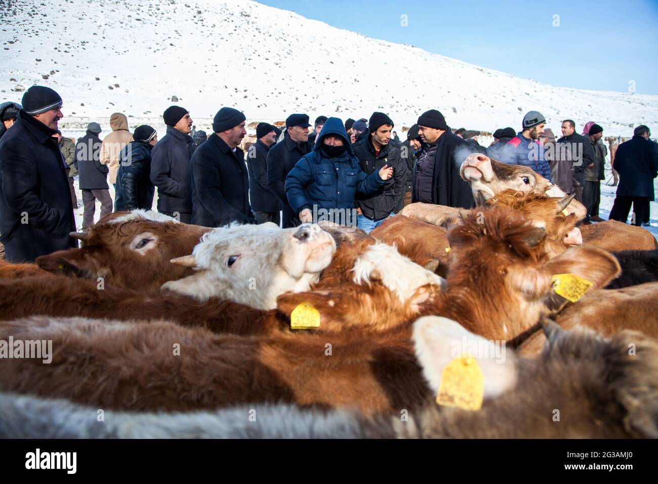 Turkey country turkish people food hi-res stock photography and images ...