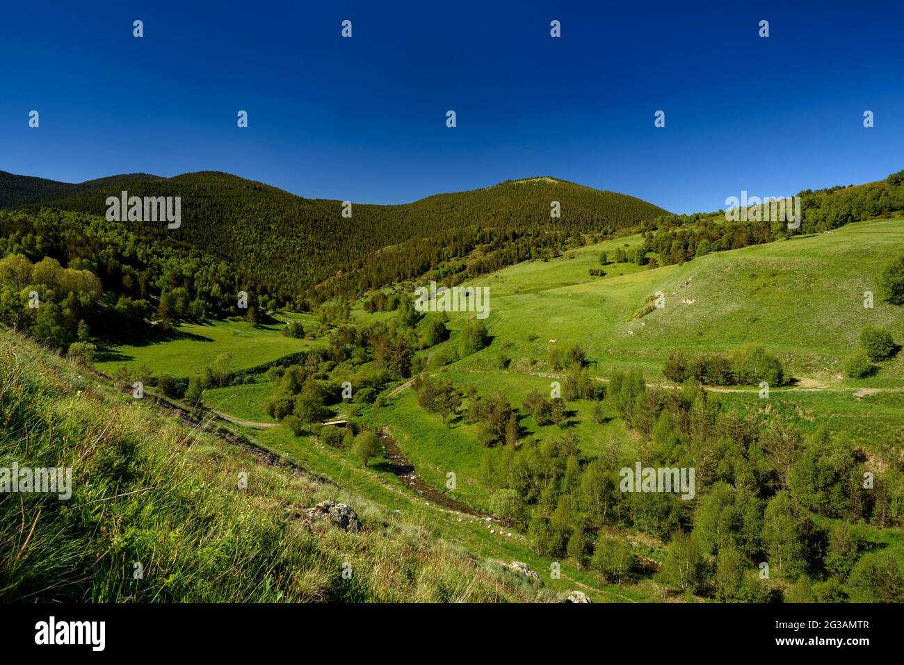 Santa Magdalena Valley in spring (Alt Pirineu Natural Park, Catalonia ...