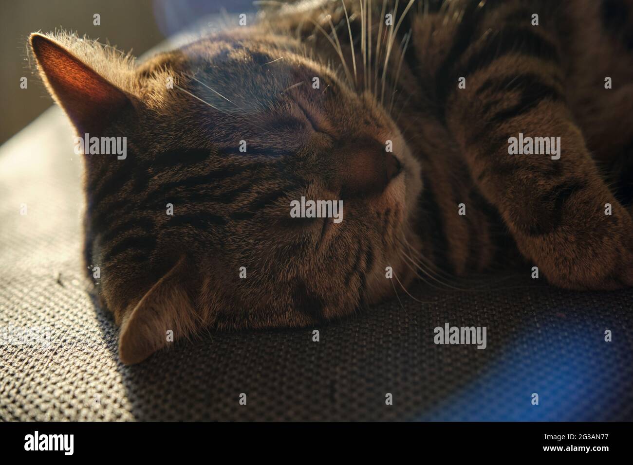 Marble colors hi-res stock photography and images - Alamy