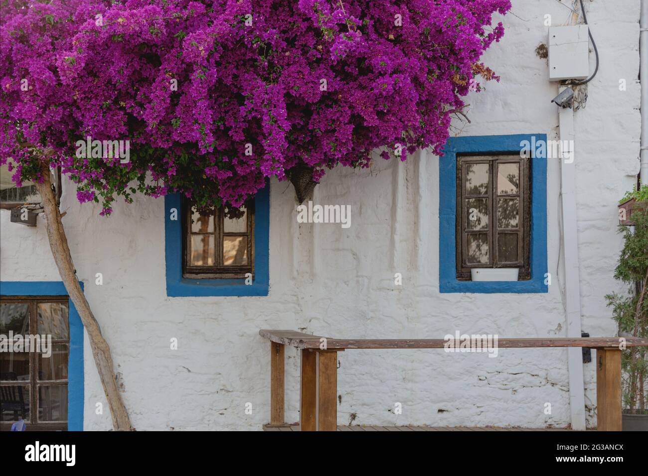 A white building with blue window frames in the Greek style and a ...