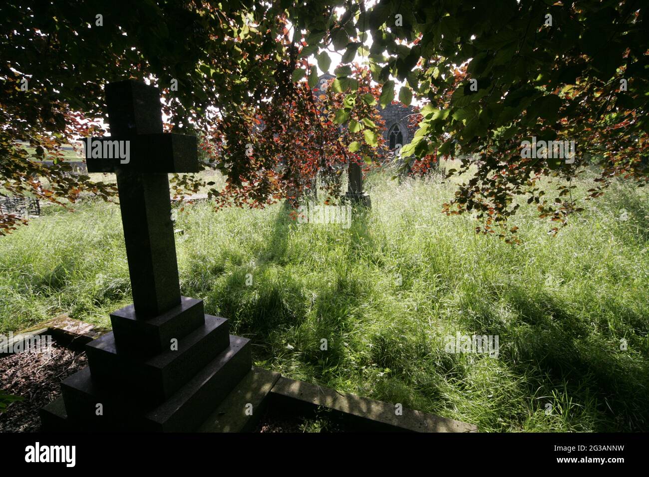 The Parish Church of Linton in the Diocese of Bradford. St Michael ...