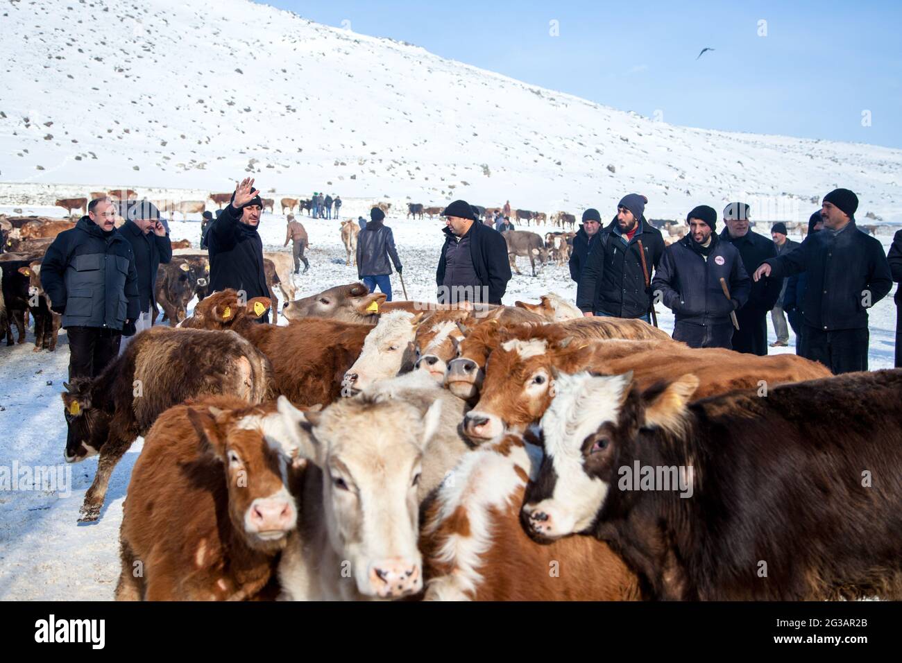 Turkey country turkish people food hi-res stock photography and images ...