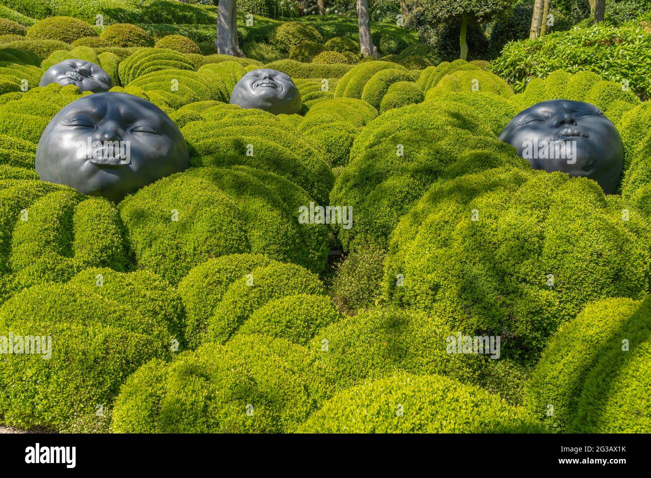 Etretat, France - 05 31 2019: the gardens of Etretat. Raindrops Stock ...