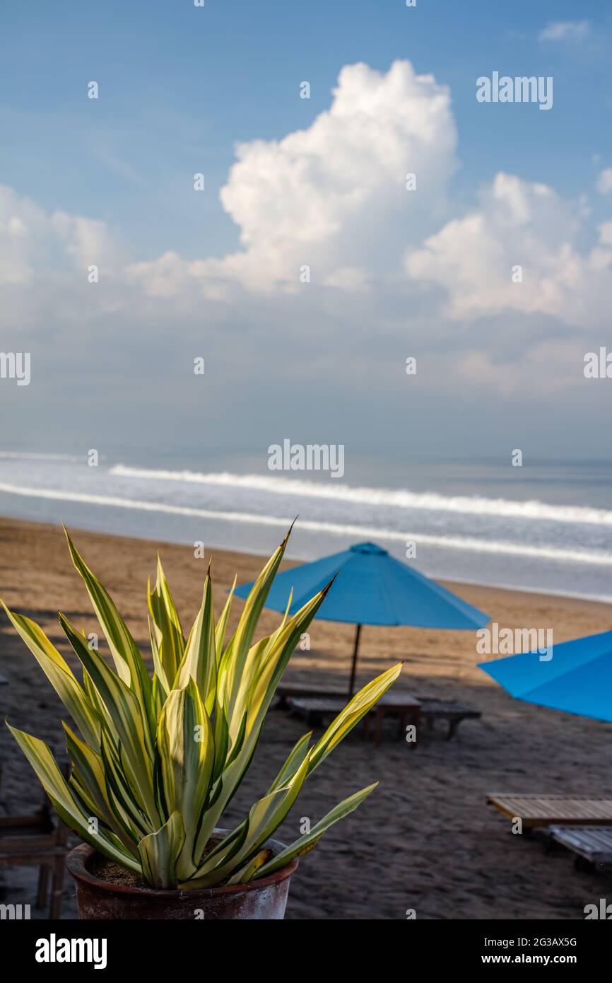 Batu Belig beach (Pantai Batu Belig), Badung, Bali, Indonesia. Grey ...