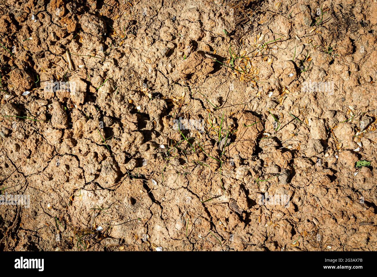 Abstract ground texture with clumps. Soil background Stock Photo - Alamy