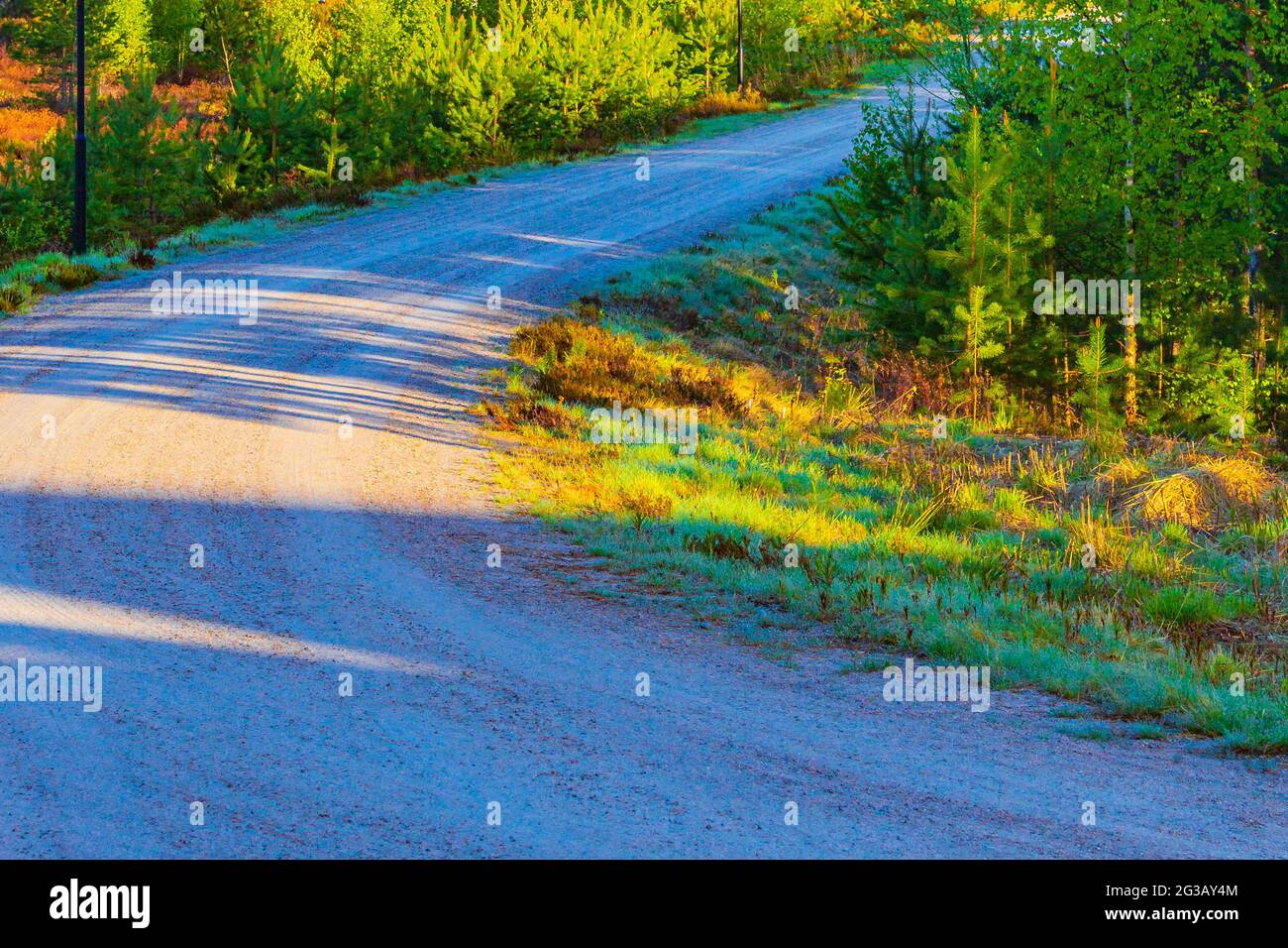 Morning sunrise in nature landscape of Norway pathway in Treungen ...