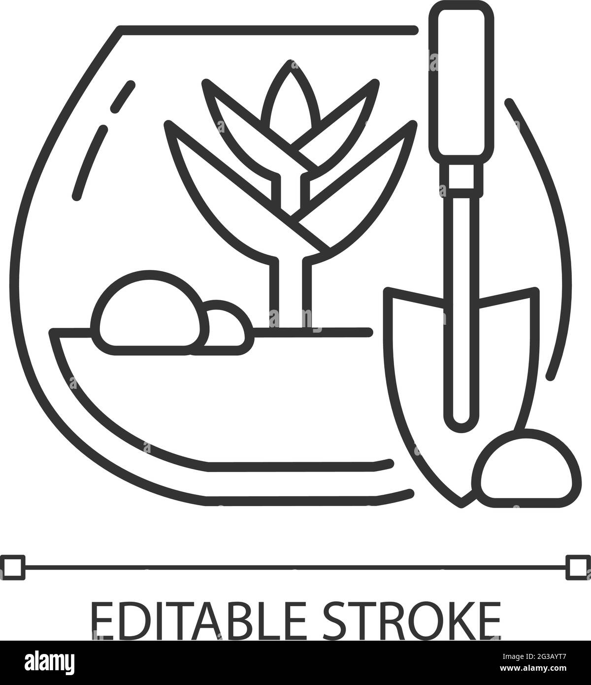 DIY tropical terrarium linear icon Stock Vector Image & Art - Alamy