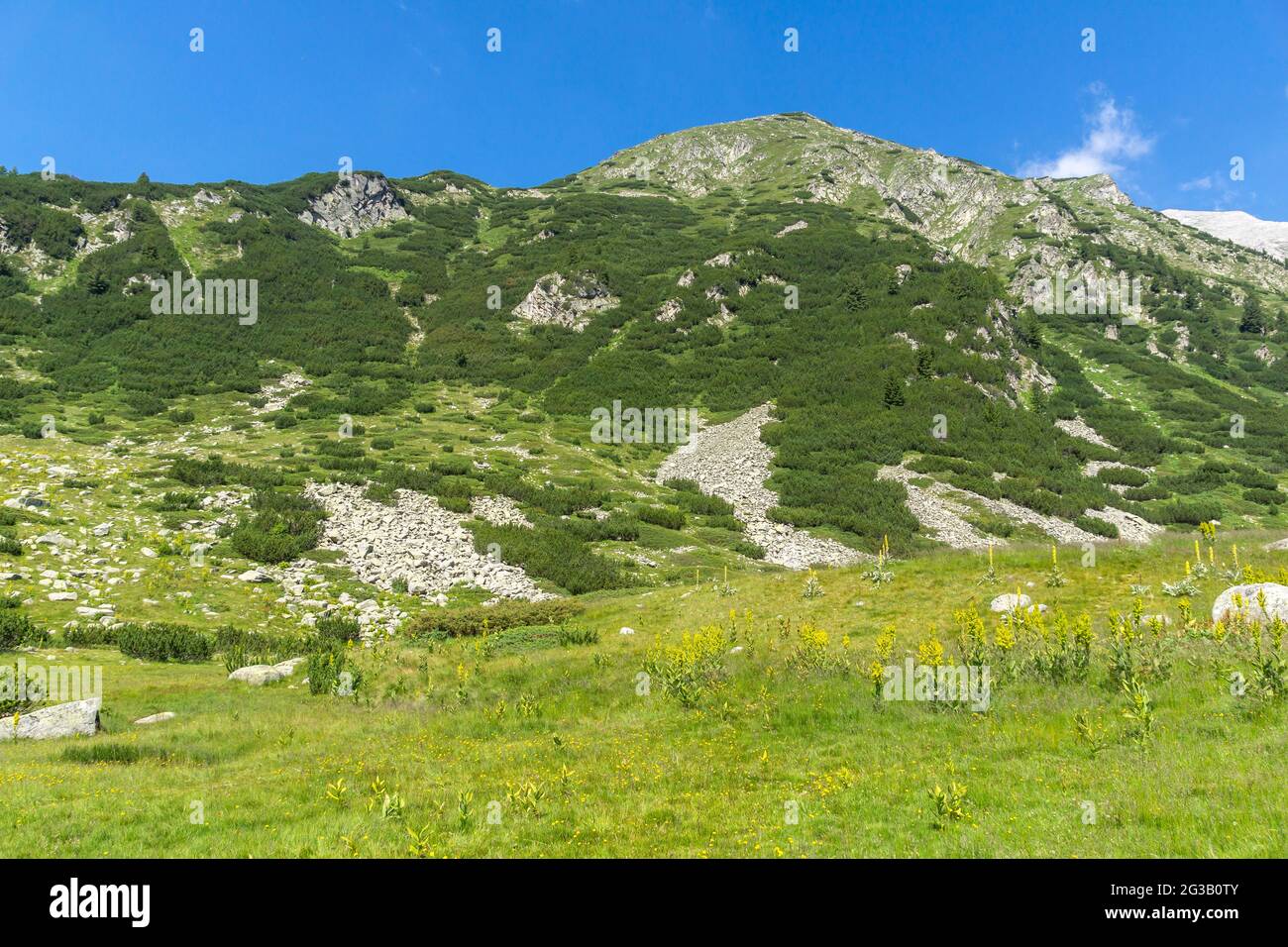 Amazing landscape of Pirin Mountain near Vihren hut, Bulgaria Stock Photo - Alamy