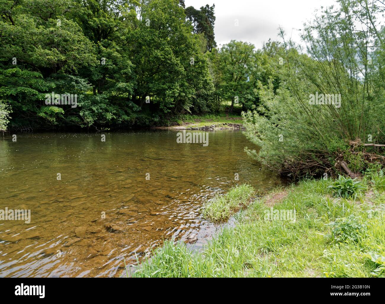 Glanusk Estate, Crickhowell, Powys. Wales, UK Stock Photo - Alamy