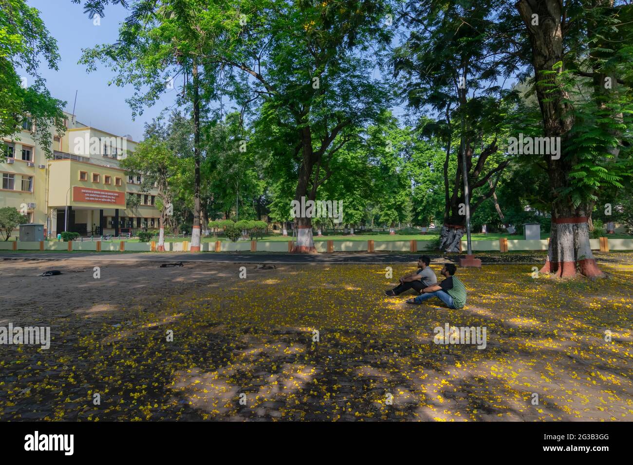 B e college campus hi-res stock photography and images - Alamy