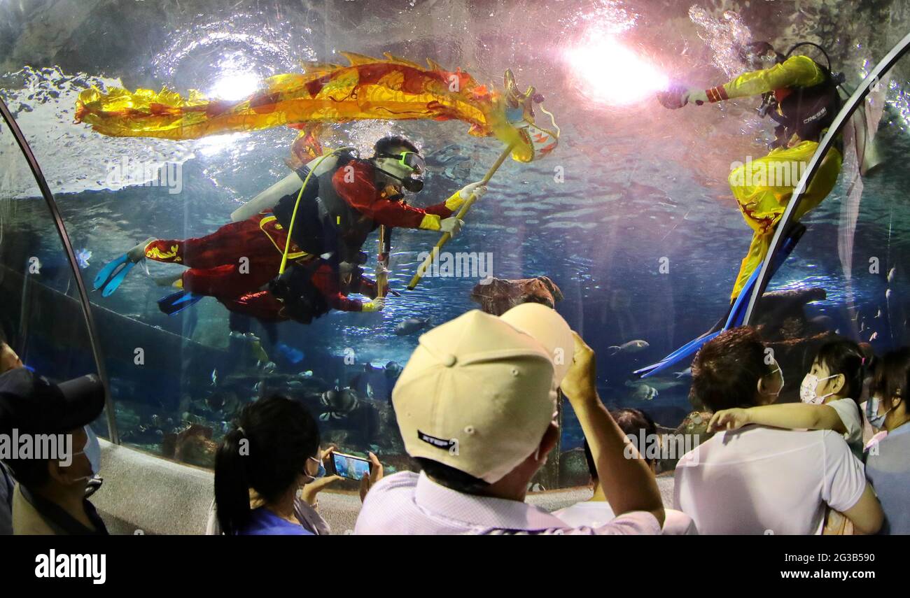 Underwater dragon dance hi-res stock photography and images - Alamy