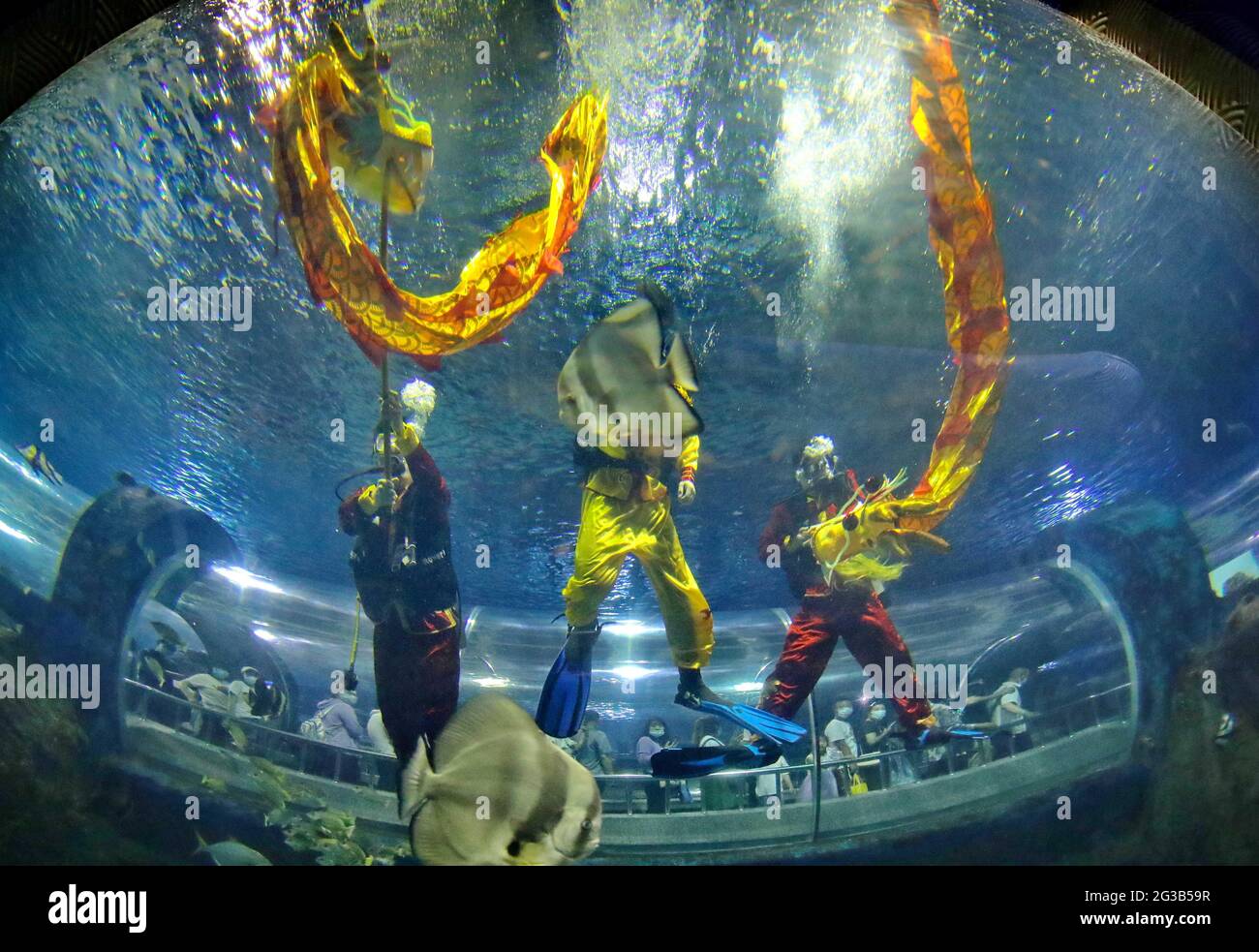 Underwater dragon dance hi-res stock photography and images - Alamy