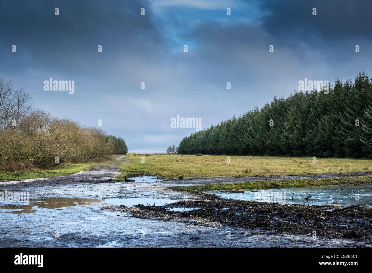 An old dispersal road on the disused WW2 RAF Davidstow Airfield on ...
