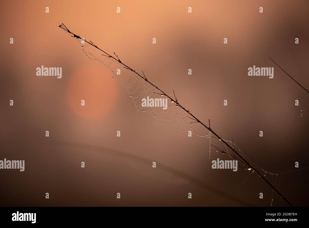 Creative shot hi-res stock photography and images - Alamy