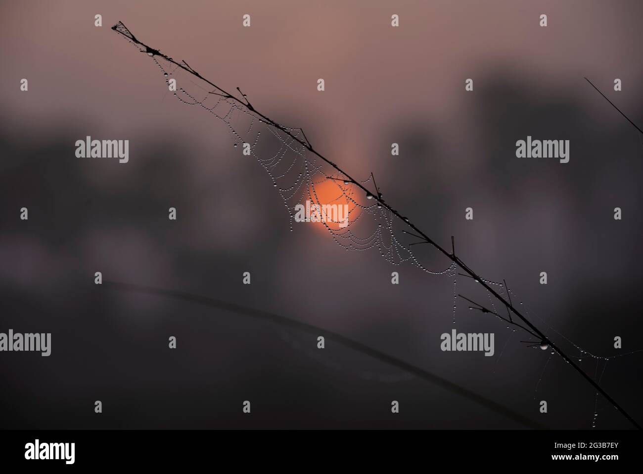 Creative shot hi-res stock photography and images - Alamy