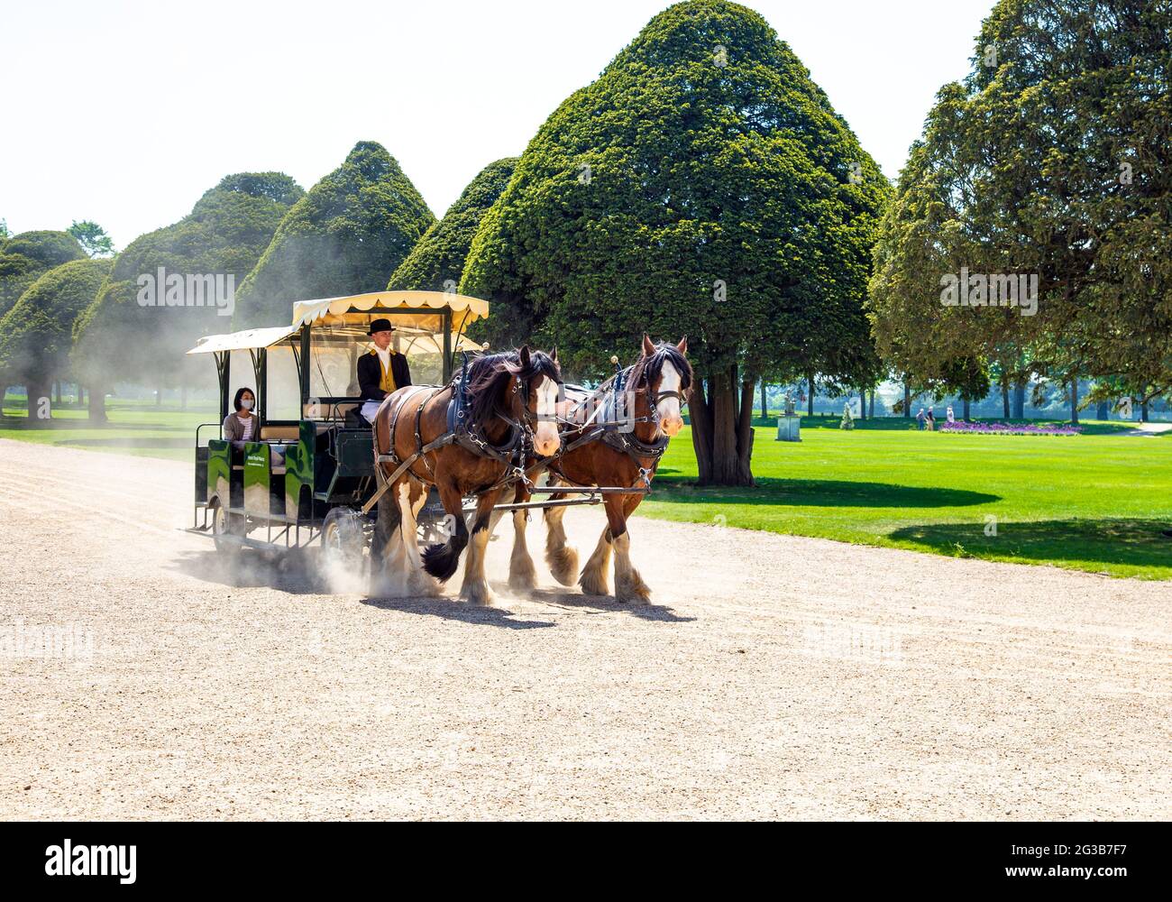 Horse drawn carriage london hi-res stock photography and images - Alamy