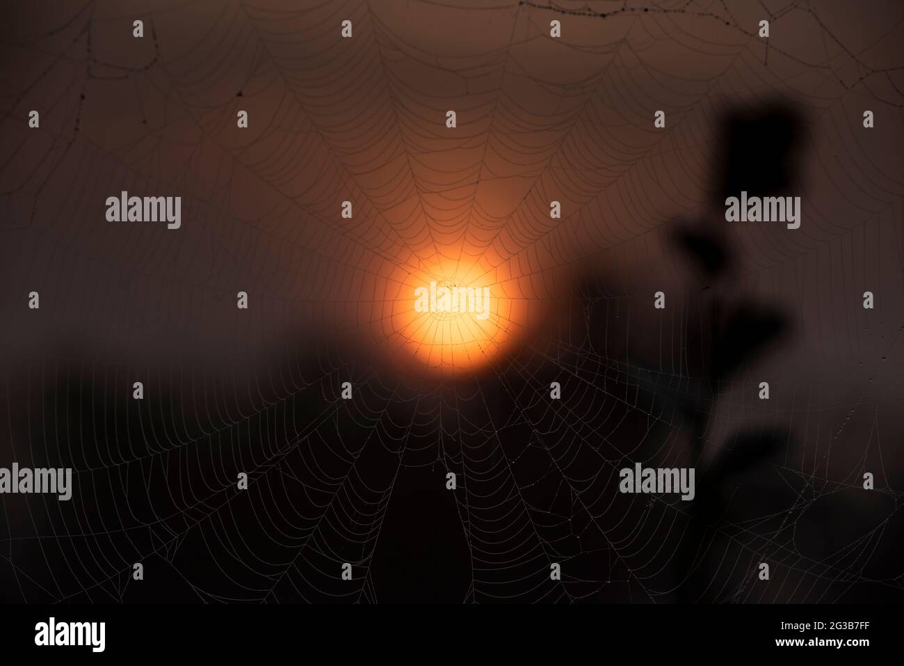 Creative shot hi-res stock photography and images - Alamy