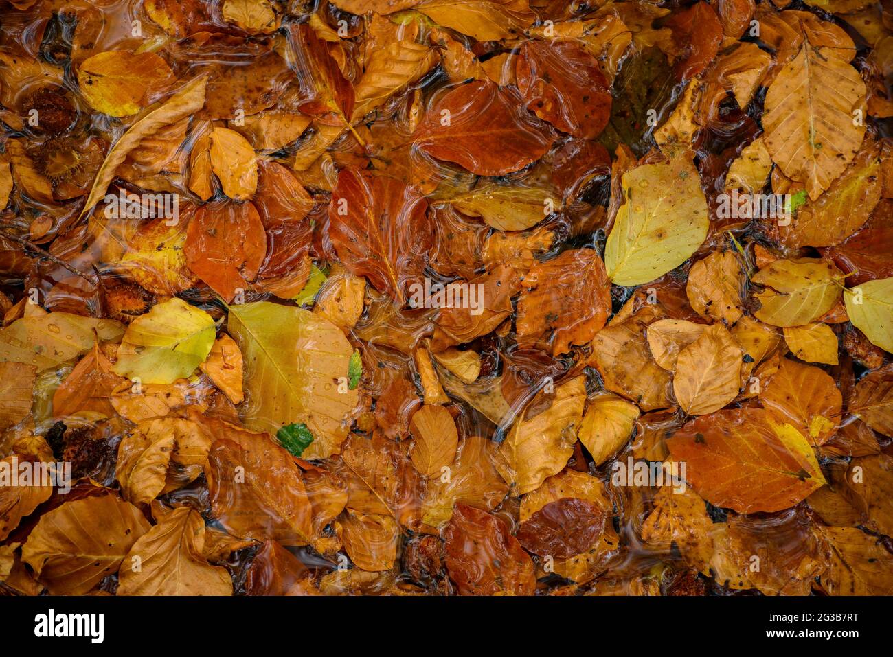 Detalle agua del rio hi-res stock photography and images - Alamy