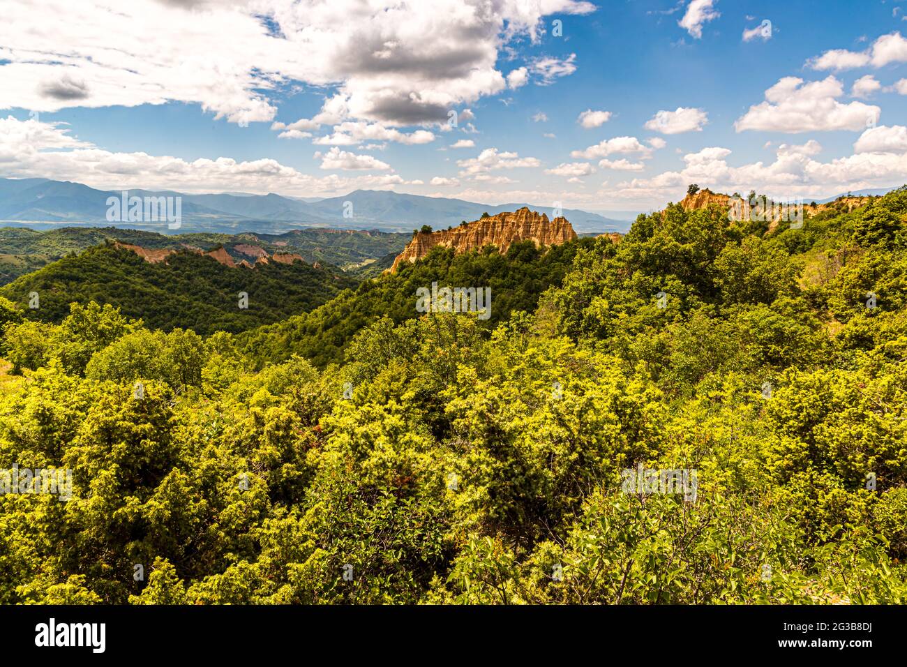 Pyramids in forest hi-res stock photography and images - Alamy
