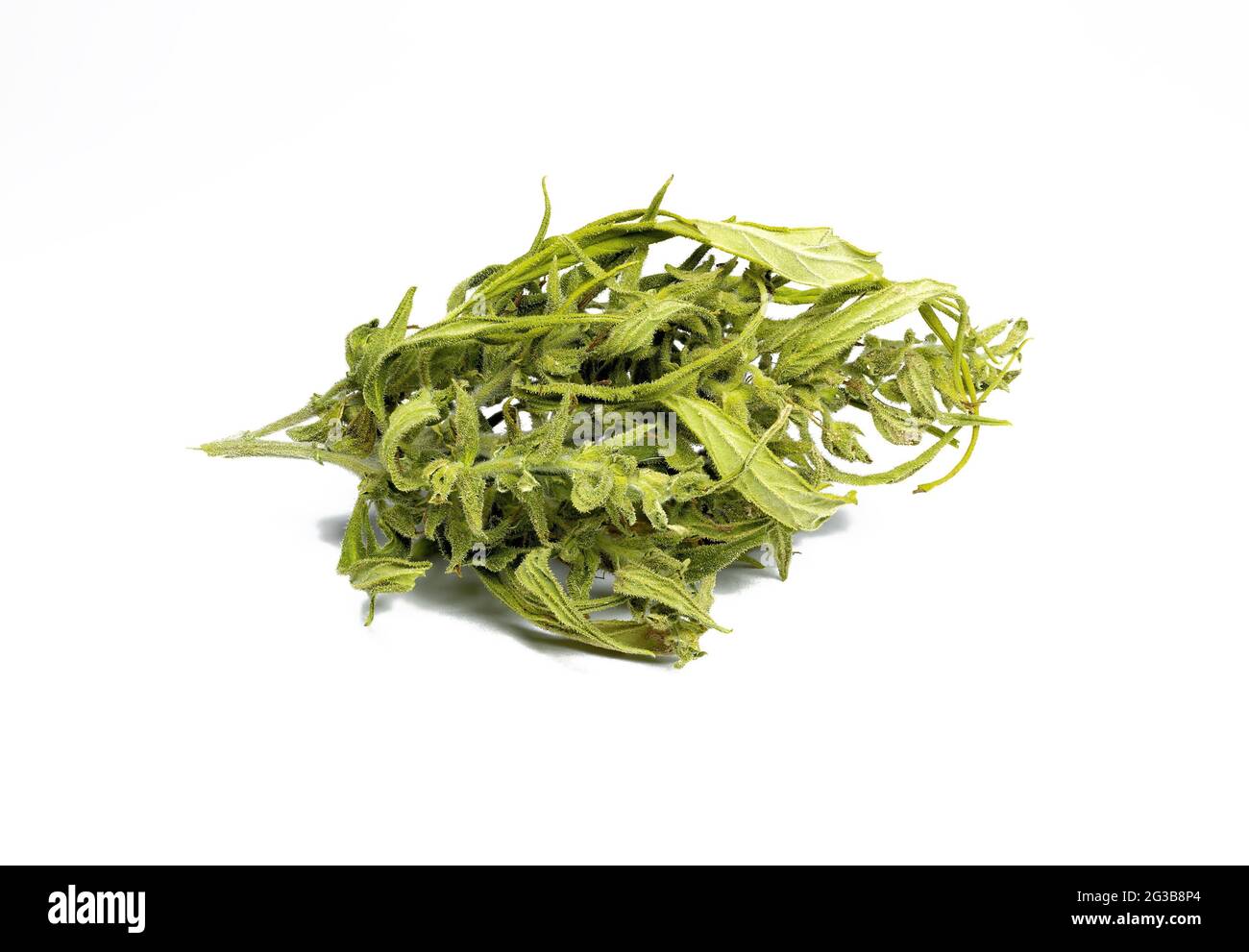 A dried bud of marijuana on white isolated background Stock Photo - Alamy