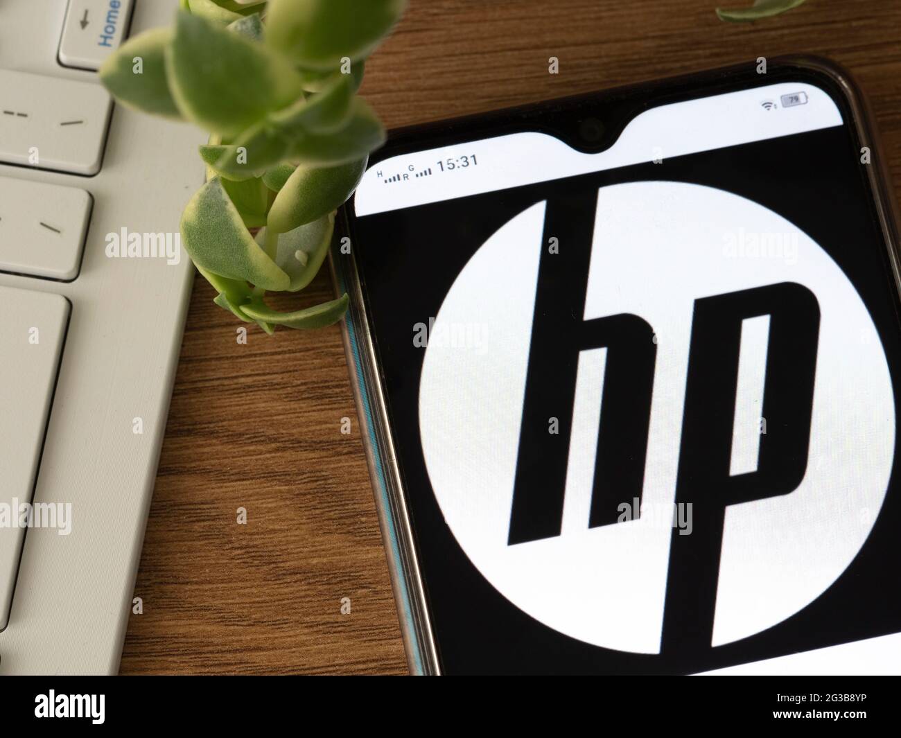In this photo illustration, a Hewlett-Packard Company logo seen ...