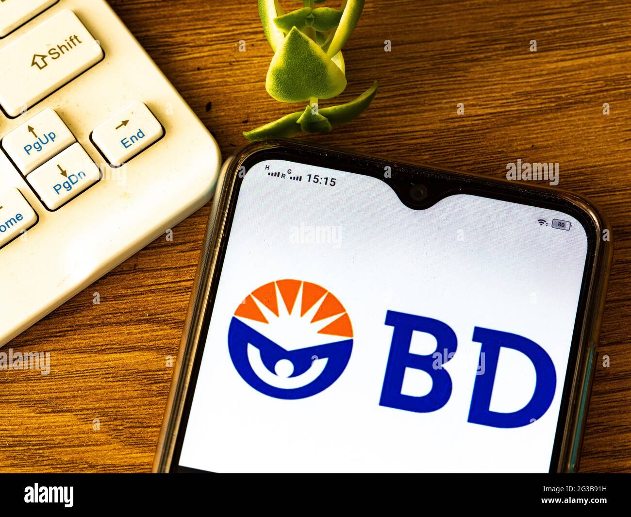 In this photo illustration, a Becton, Dickinson and Company logo seen ...