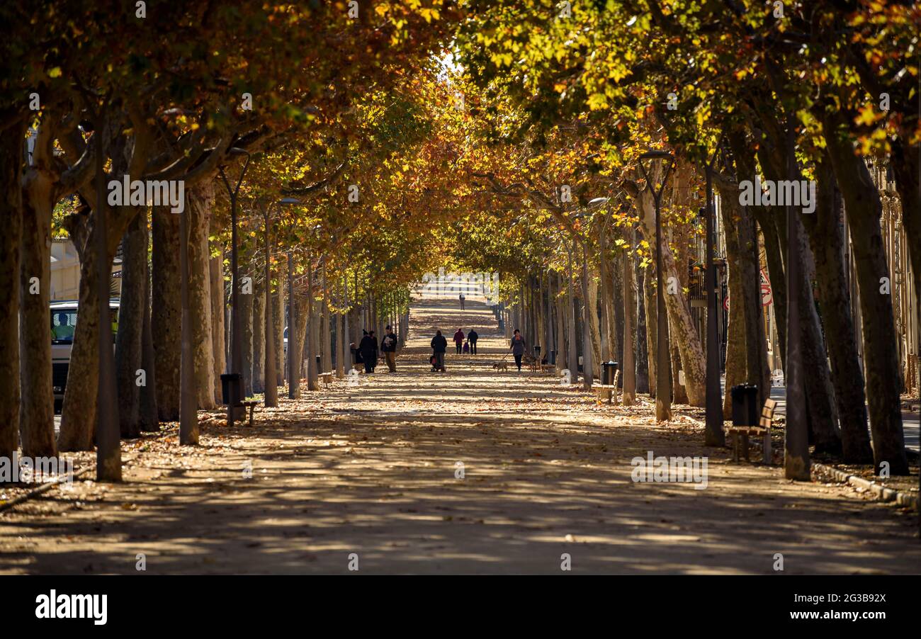 Viajar en la naturaleza hi-res stock photography and images - Alamy