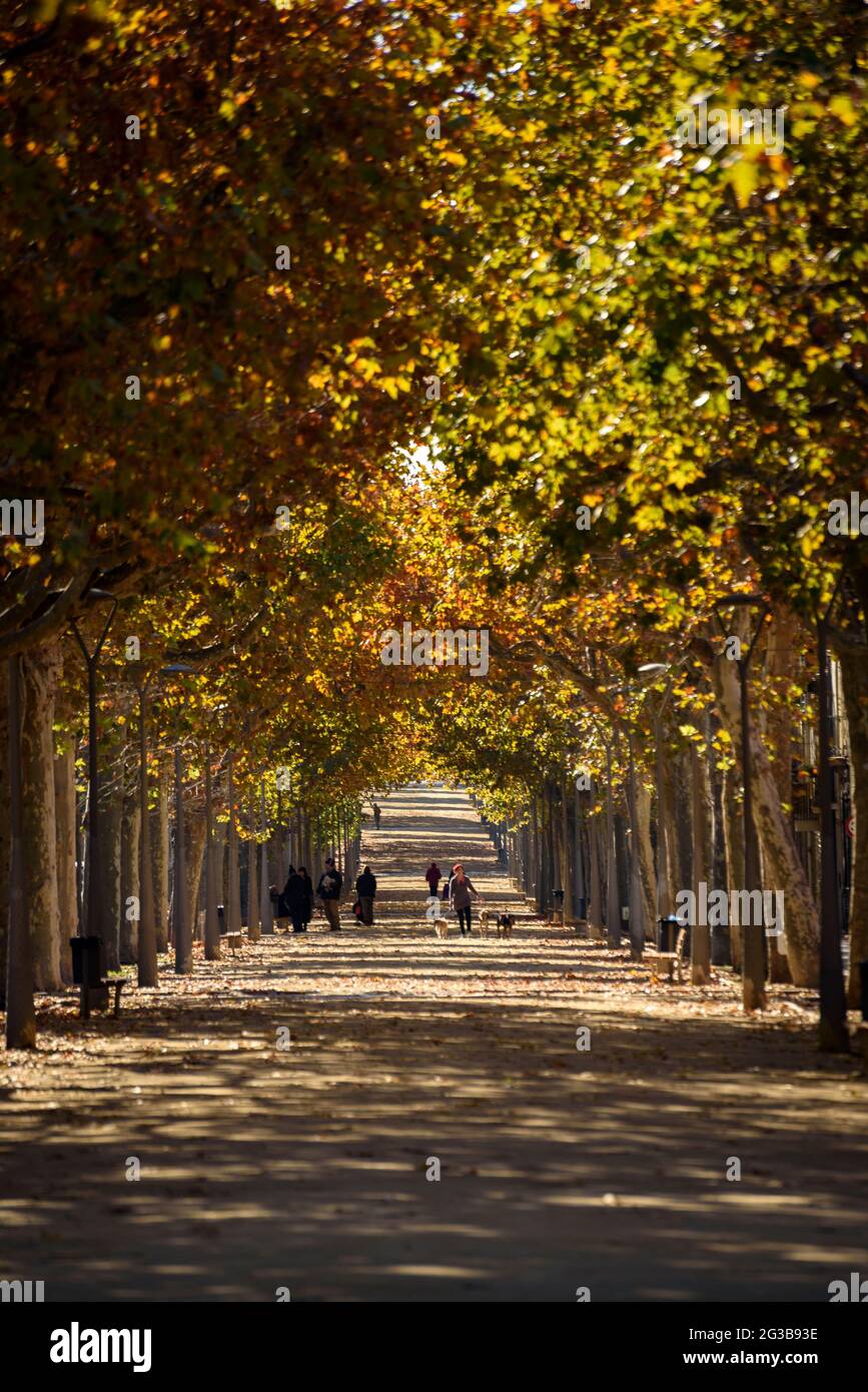 Viajar en la naturaleza hi-res stock photography and images - Alamy