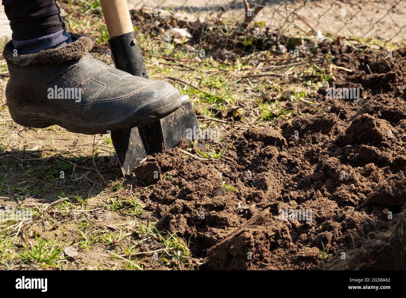 garden processing, leg man digging the ground spring planting Stock ...
