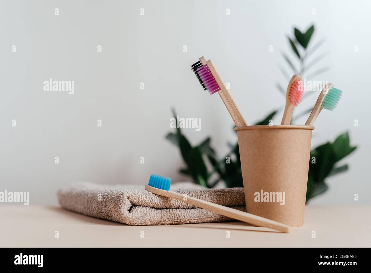 Eco friendly bamboo toothbrushes of different colors in paper cup, zero ...