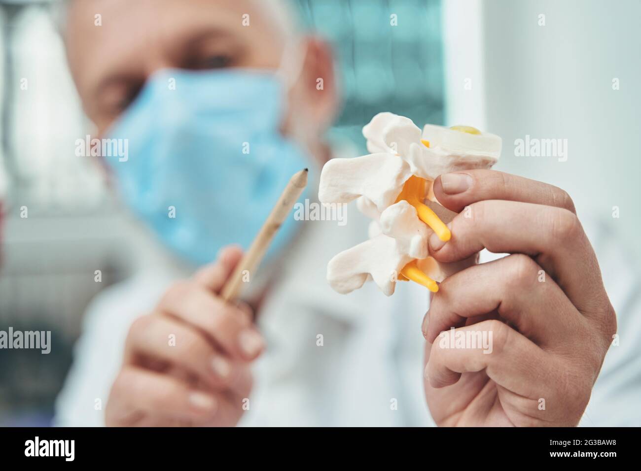 Doctor in a face mask explaining the spine anatomy Stock Photo - Alamy