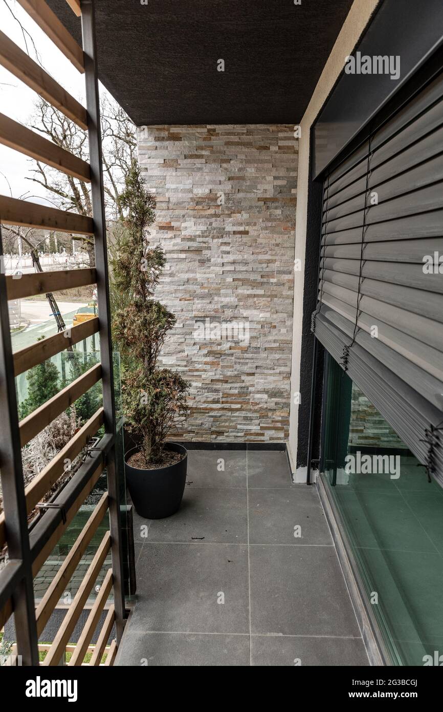Vertical shot of a house yard with a plant and french windows with ...