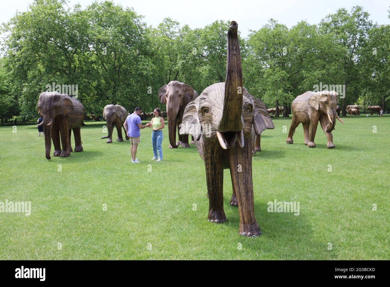 Wildlife conservation charity elep hi-res stock photography and images ...