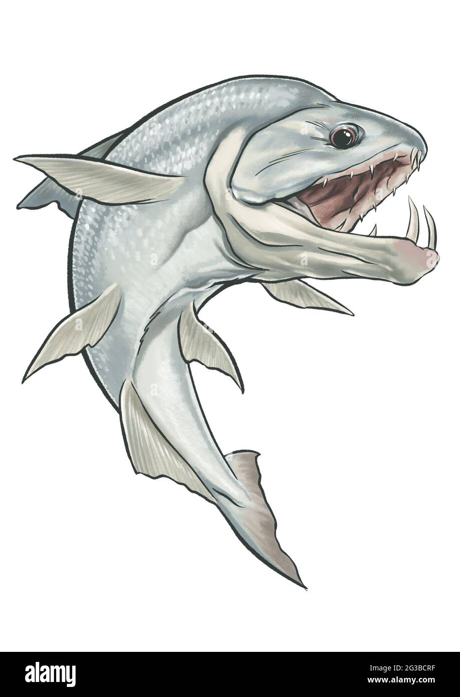 Vampire fish hi-res stock photography and images - Alamy