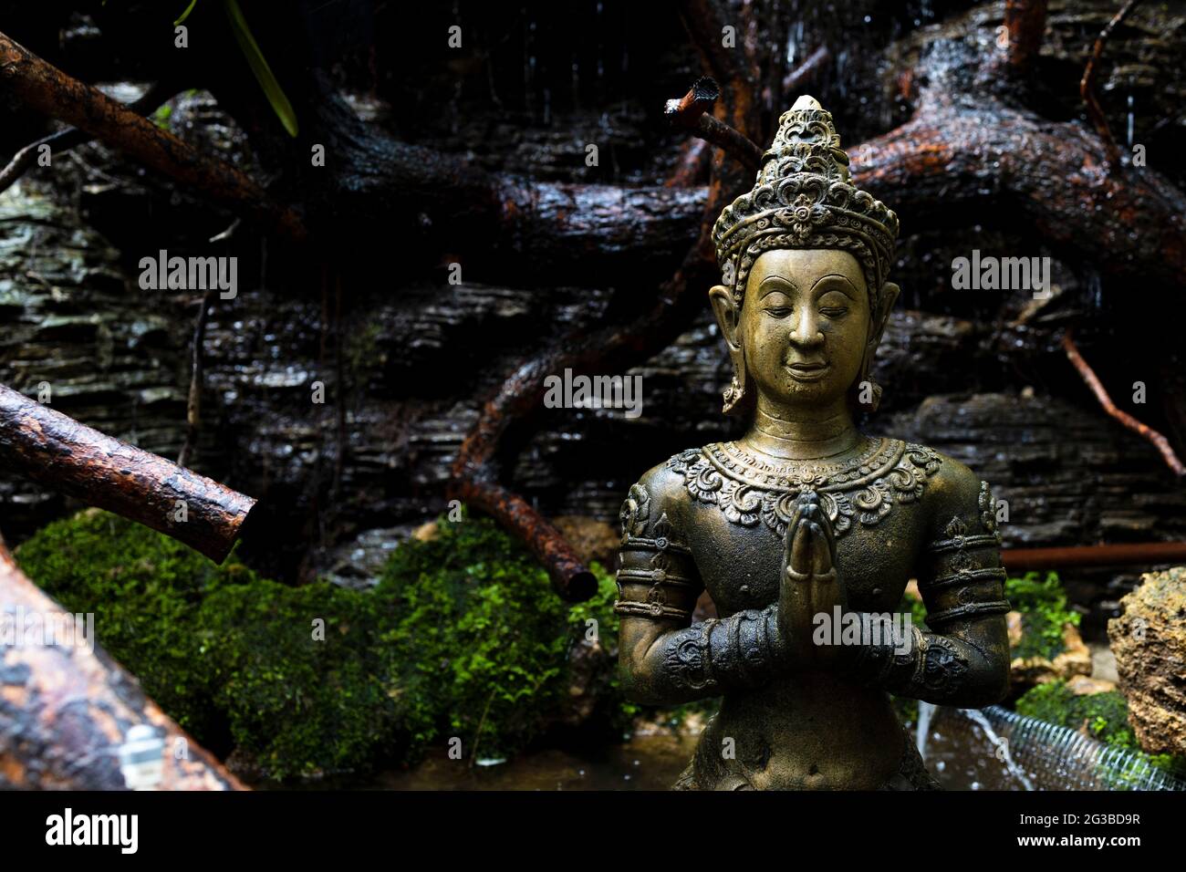 closeup old buddhism for statues or models of the Buddha portrait with ...