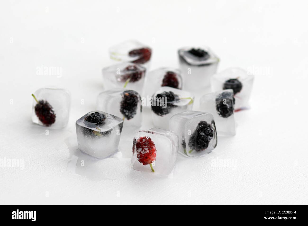 Ice cubes with blue berry fruits on white background Stock Photo - Alamy