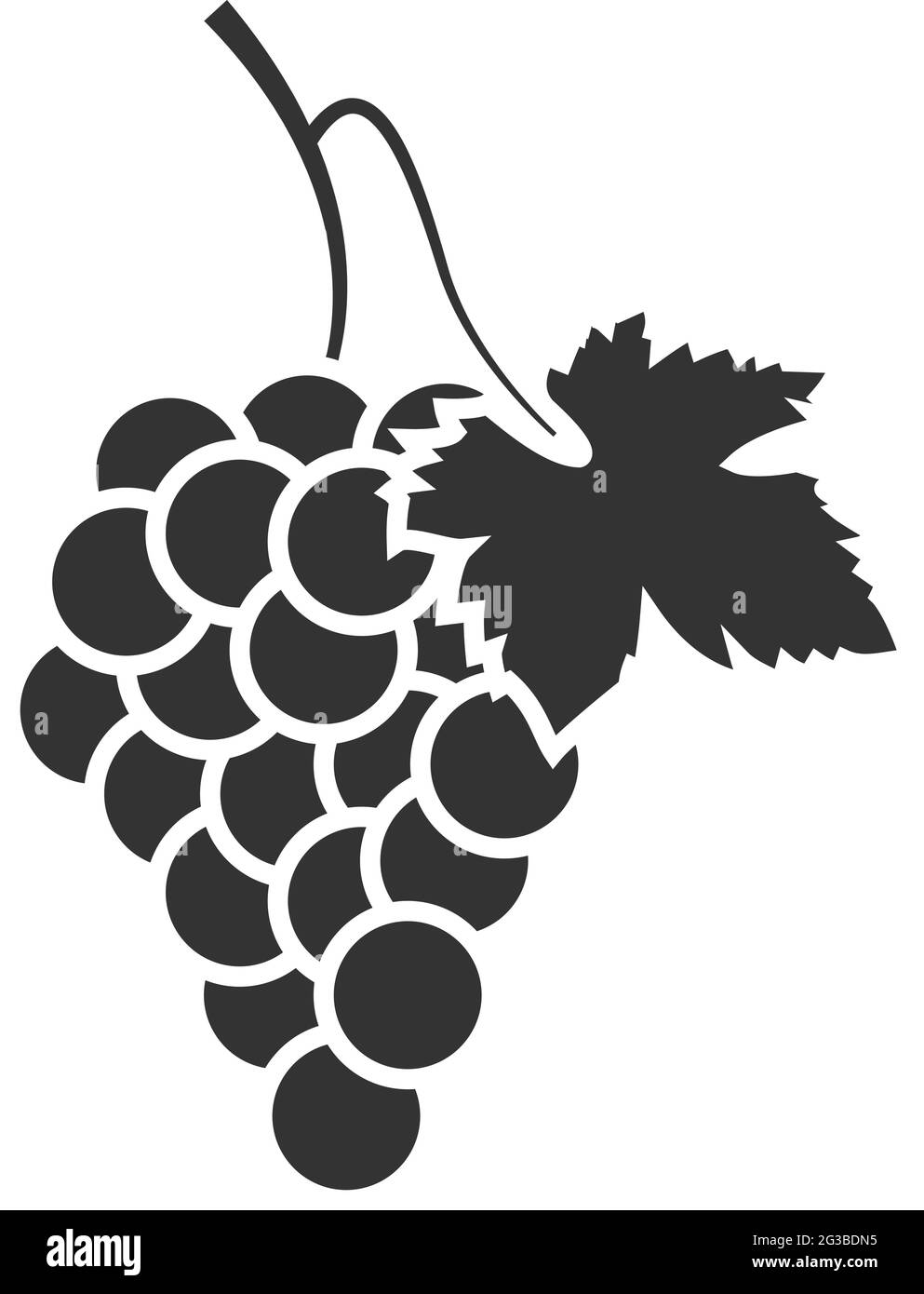 Grape leaf isolated on Stock Vector Images - Alamy